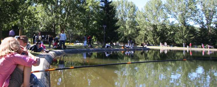 Descobreix l'Alta Cerdanya: passejant per Osseja - Pànxing