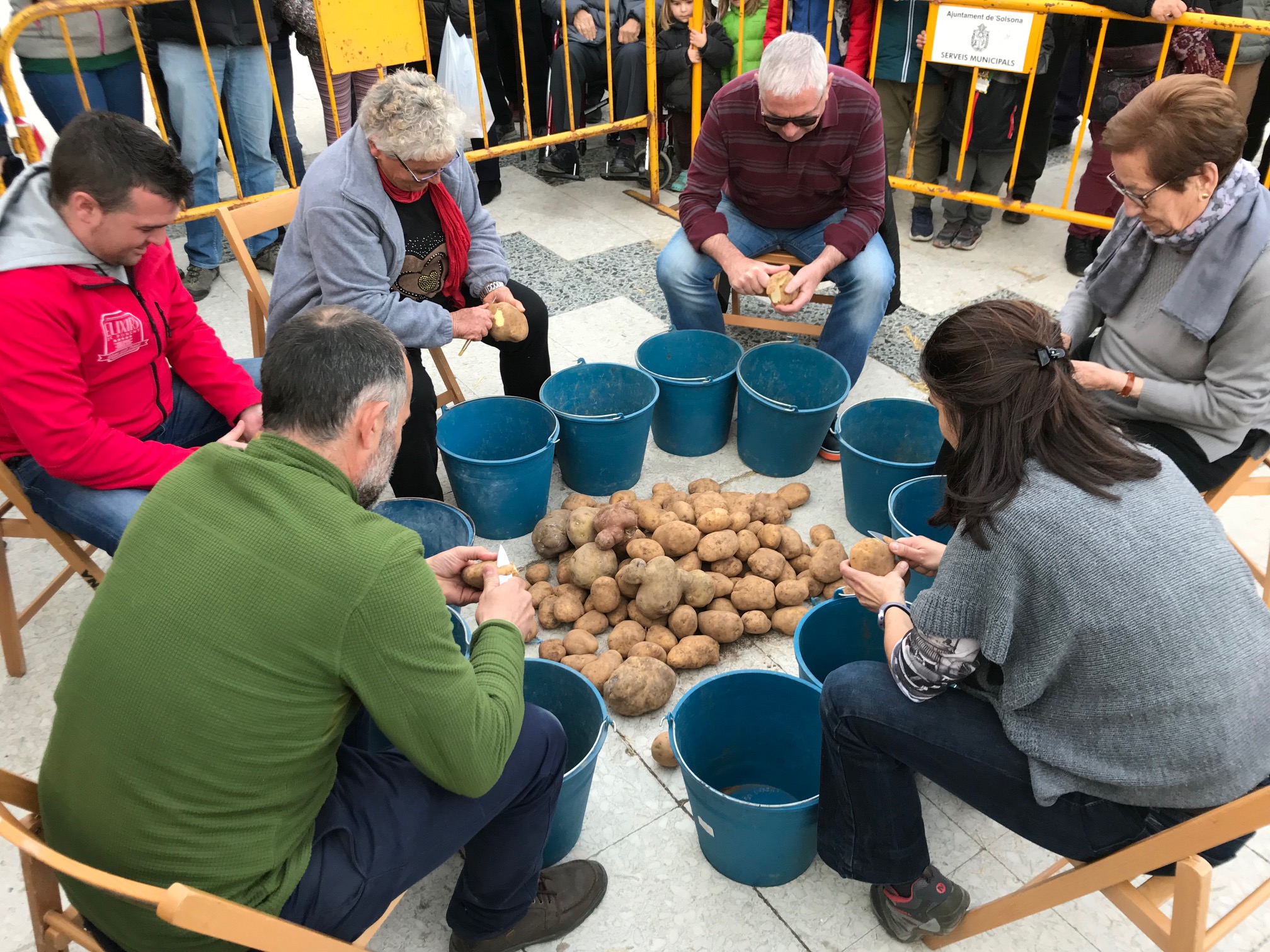 Fira del trumfo i la tòfona de Catalunya - Pànxing