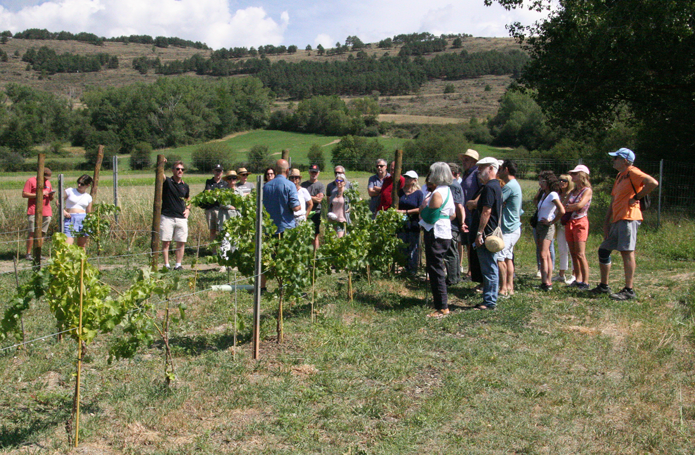 El Museu de Llívia organitza, aquests dies de Setmana Santa, una nova ...