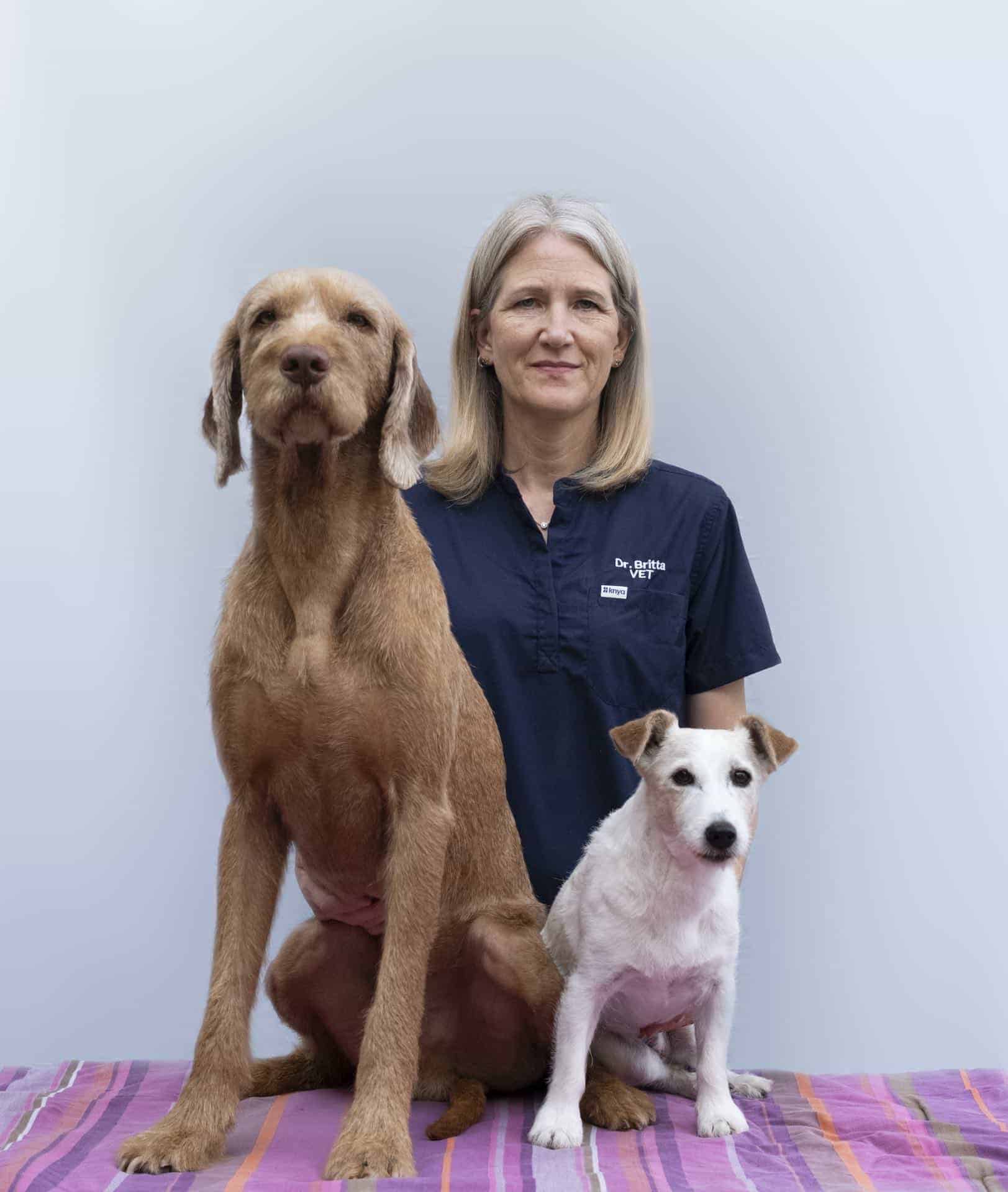 Veterinària holística: ajudar el teu animal de companyia a viure més sa ...